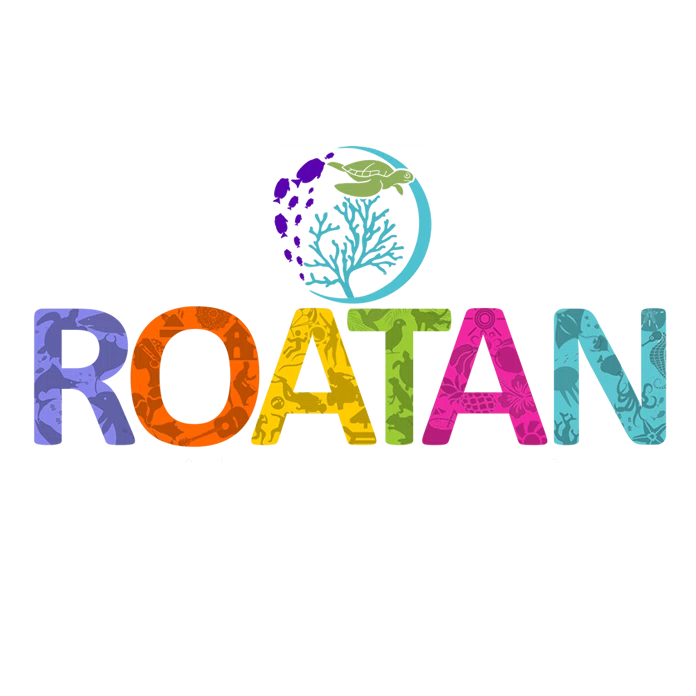 About Roatan Island - ZeUs Roatán Real Estate - Your Trusted Choice for ...